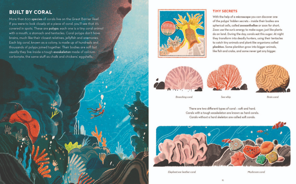 THE GREAT BARRIER REEF – beebooks
